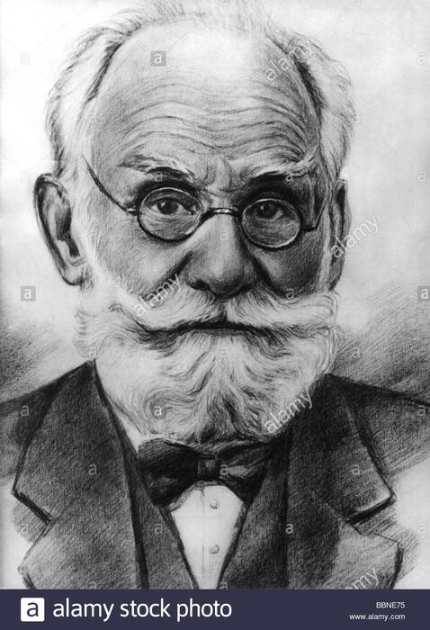 El conductismo clásico de Pavlov :: Teorías del aprendizaje